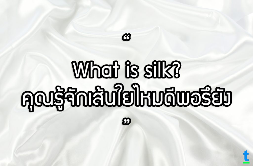What is silk? คุณรู้จักเส้นใยไหมดีพอรึยัง - Terrestrial