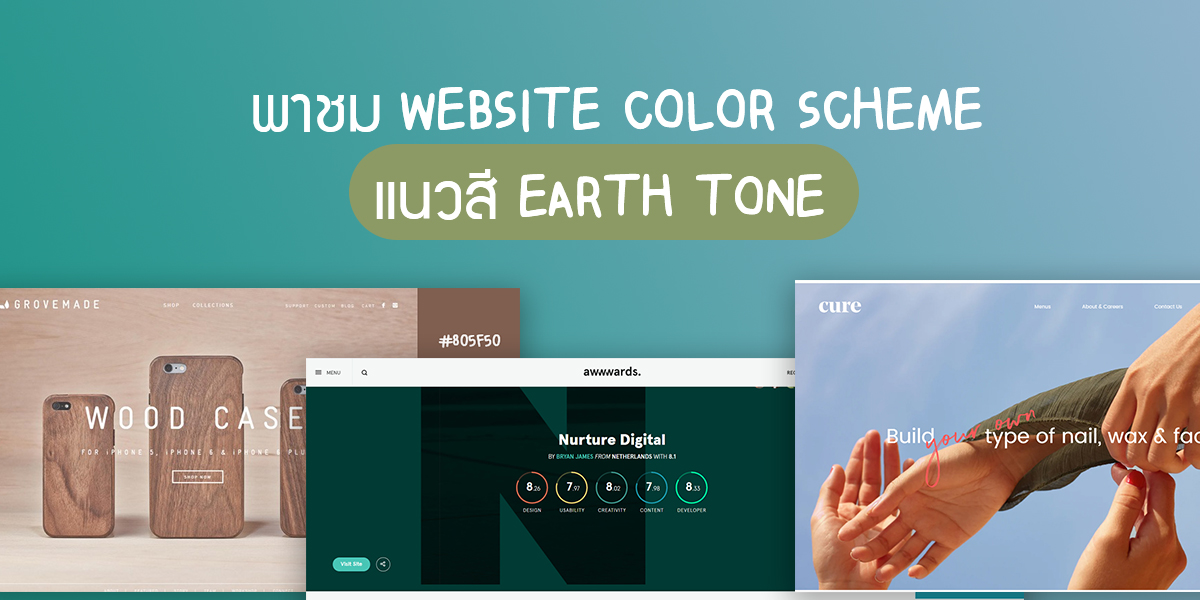 พาชม Website color Scheme แนวสี Earth Tone - Terrestrial