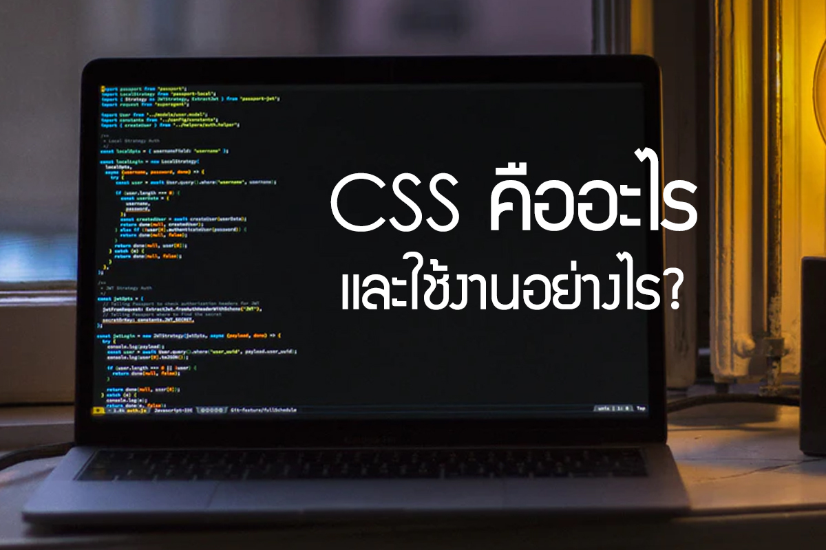 CSS คืออะไร และใช้งานอย่างไร? - Terrestrial