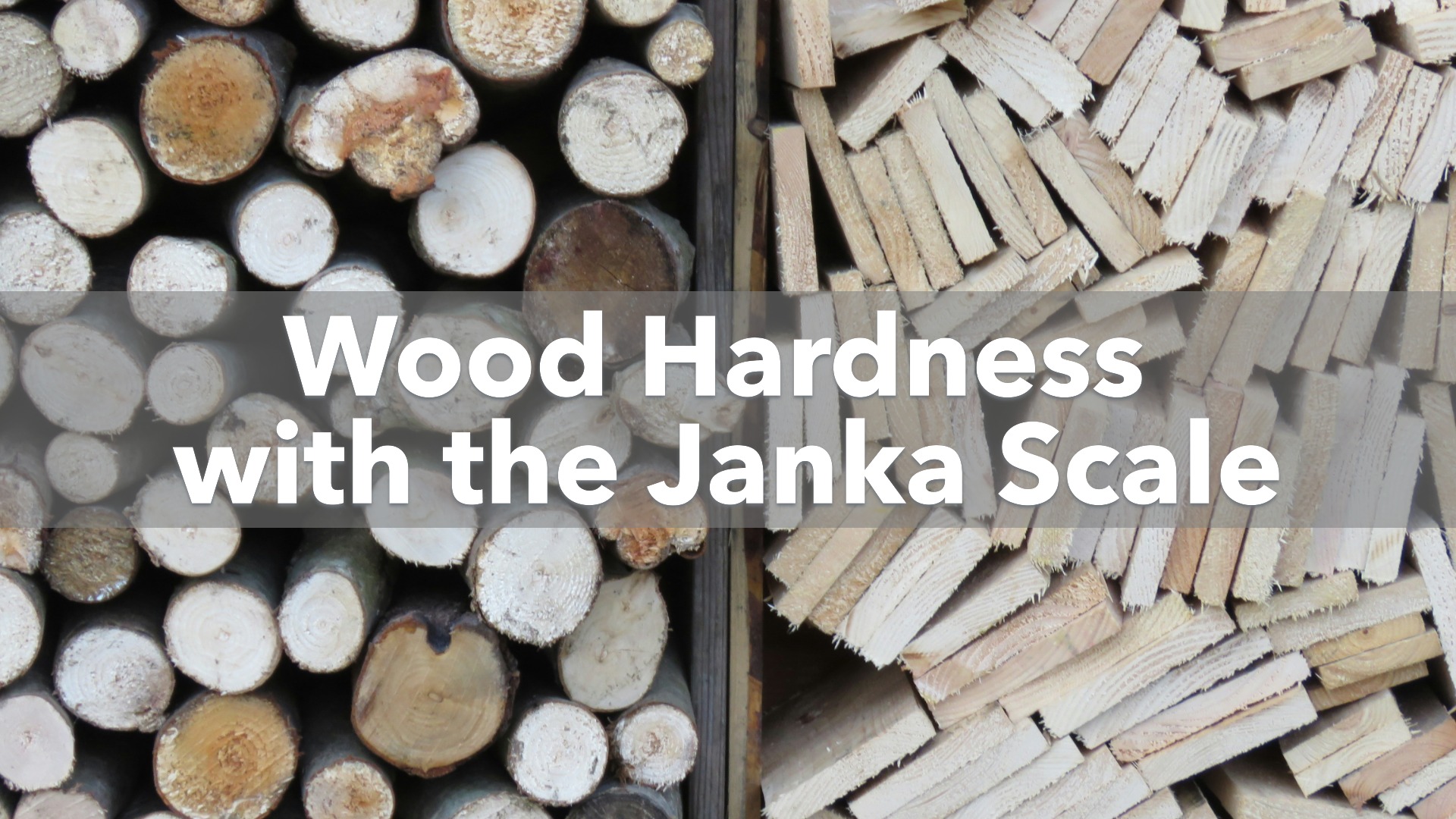 Wood Hardness with the Janka Scale - Terrestrial